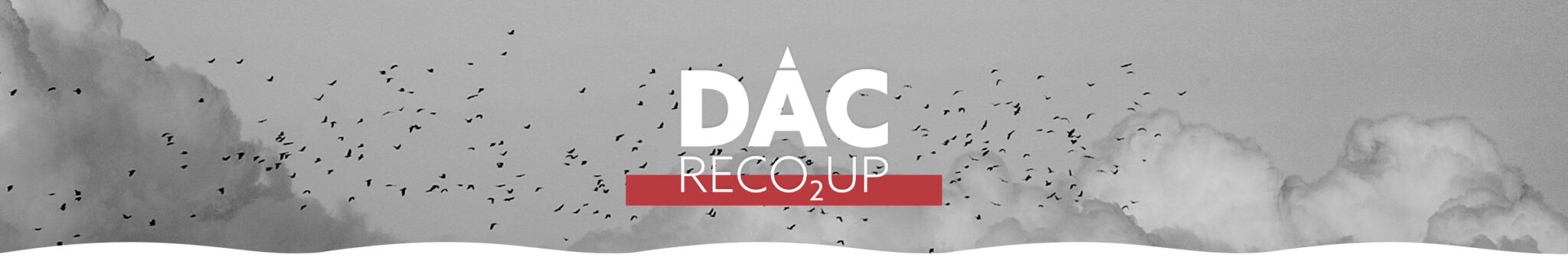 Direct Air Capture Recovery of Energy for CCUS Partnership (DAC RECO2UP ...