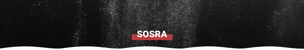 Southeast Offshore Storage Resource Assessment (SOSRA) – Transcending ...