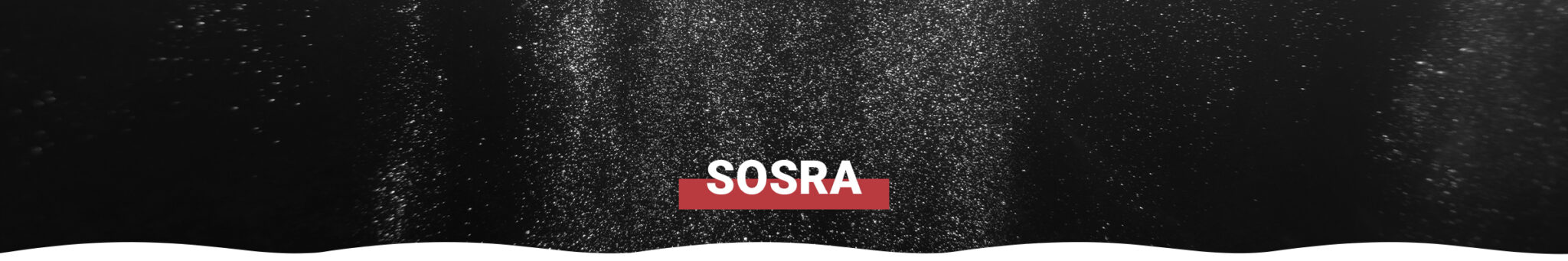 Southeast Offshore Storage Resource Assessment (SOSRA) – Transcending ...