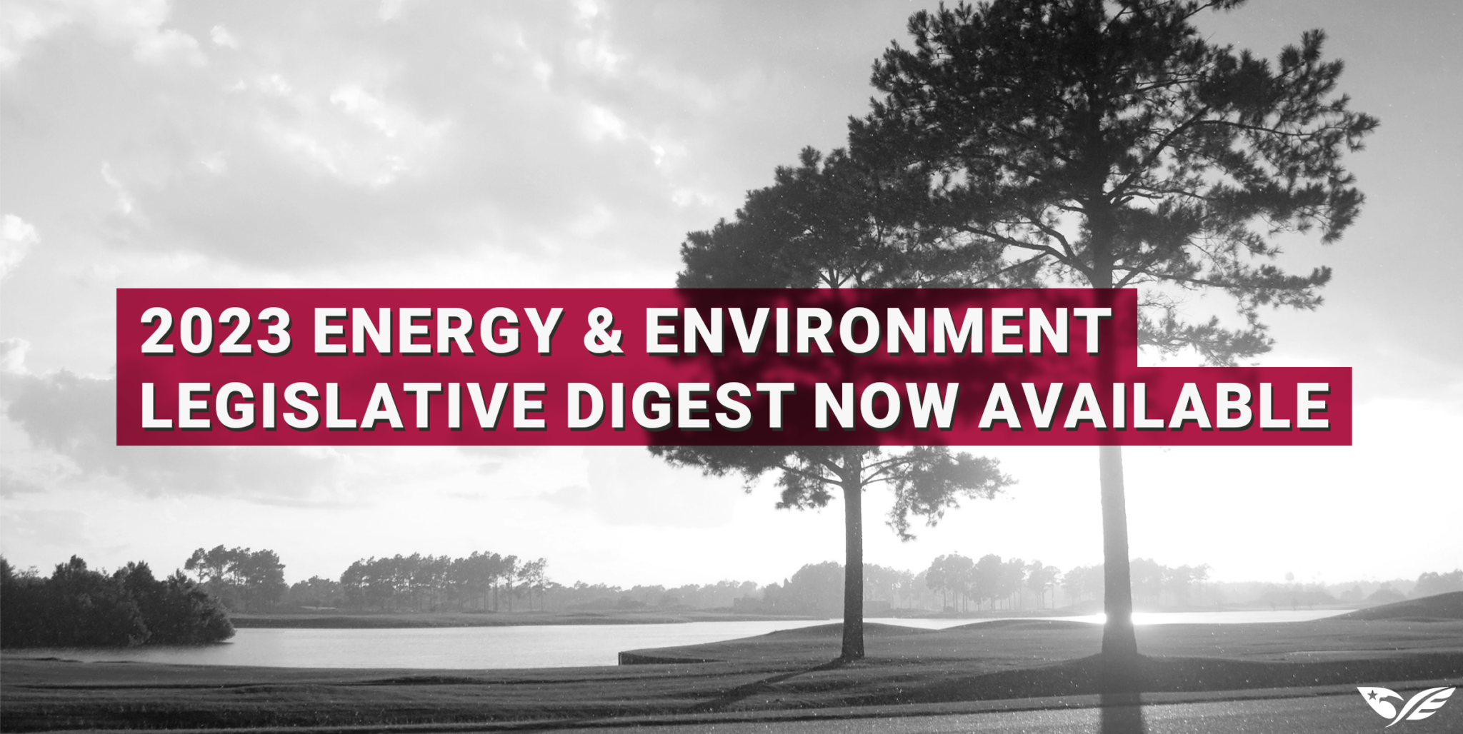 The Southeast's Most Comprehensive Energy & Environment Legislative ...